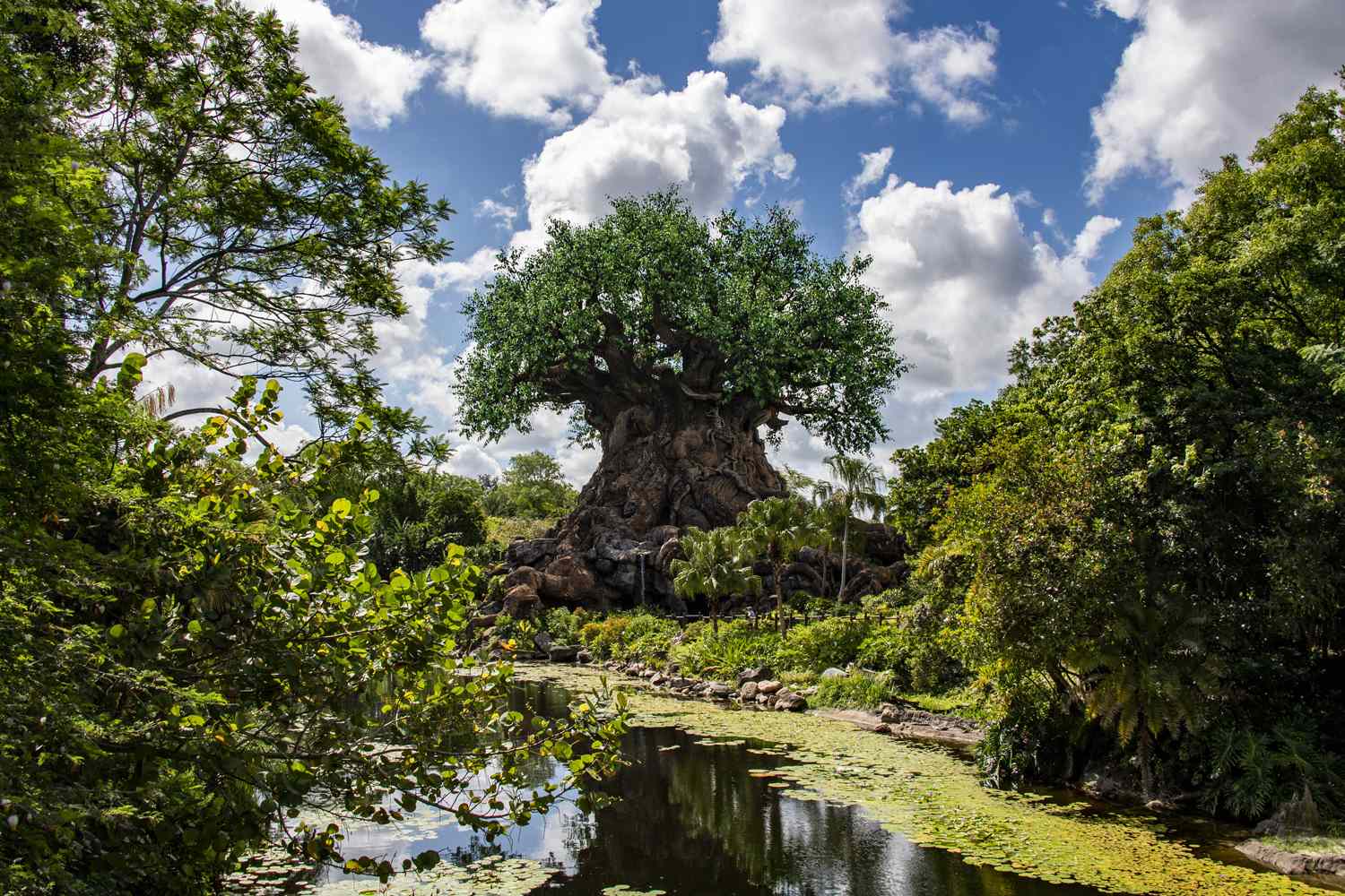 Disney's Animal Kingdom is permanently closing an opening-day land ...
