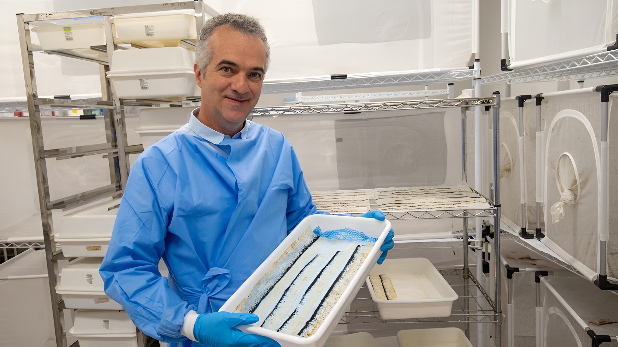 Contre la dengue et le Zika, ce pays a une idée folle : lâcher encore ...