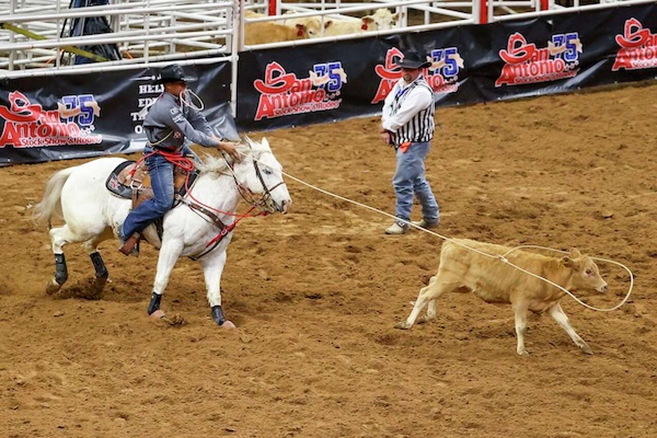 San Antonio explained: Rodeo season includes steers, cheers and tradition