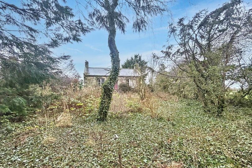 Countryside cottage overlooking golf course goes on sale for £84k but ...