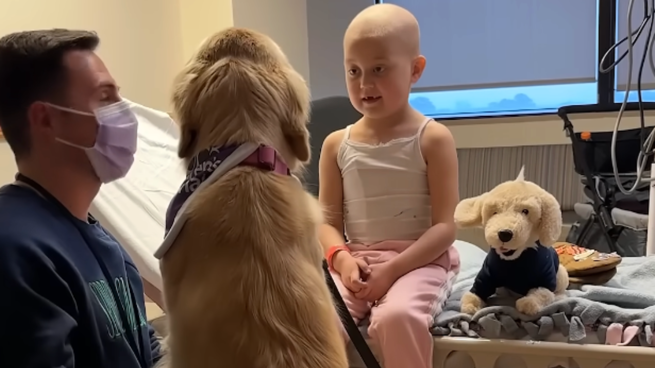 Ellie and Emma bring smiles to a children's hospital