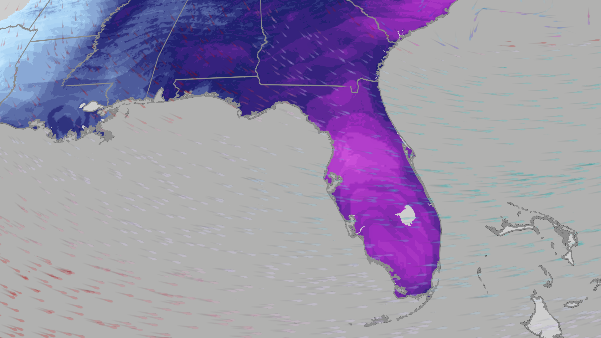 Florida freezes with record cold temperatures