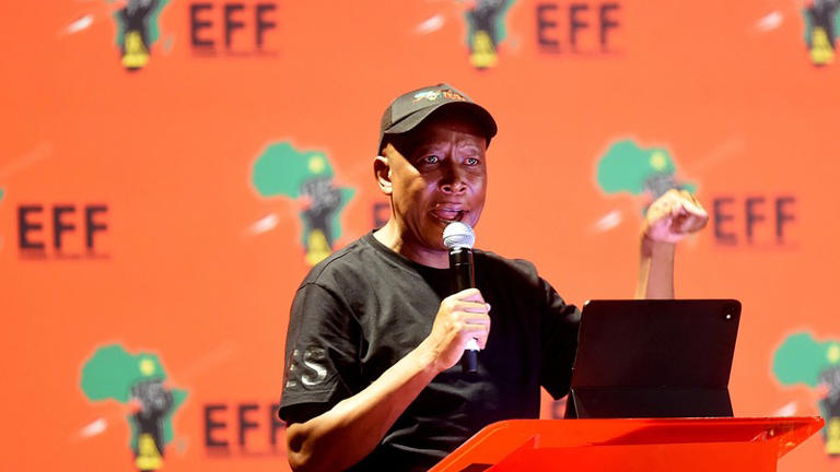 EFF escalates calls for closure of Israeli embassy as SA is warned of ...