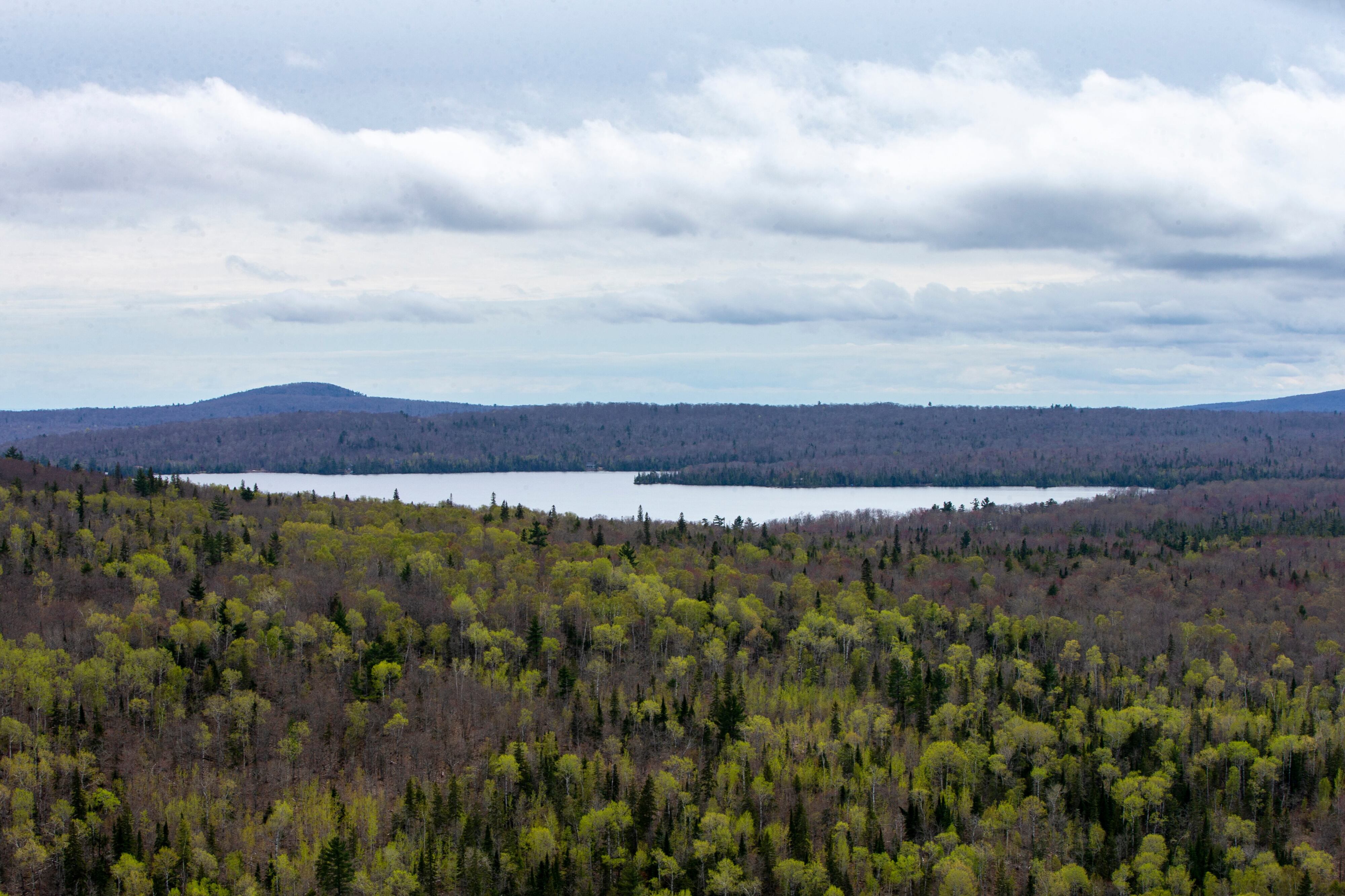 In a year, foreign investors bought another 71,000 acres of Michigan ...