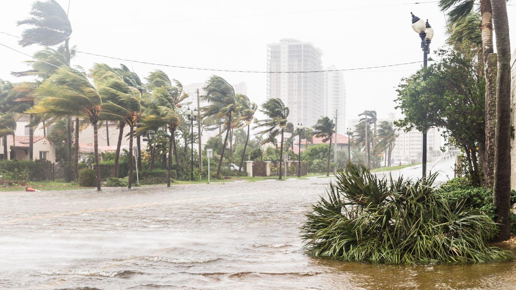 These cities could be underwater within 100 years