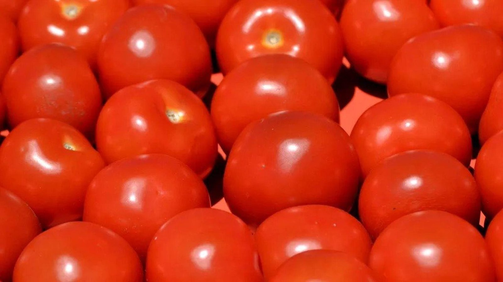7 pantry items that last longer on the counter than in the refrigerator ...