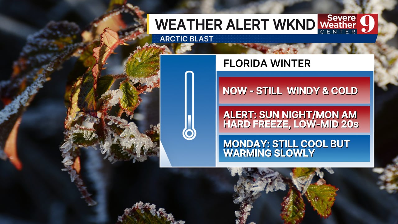 Central Florida freeze warning continues as extreme cold carries into ...
