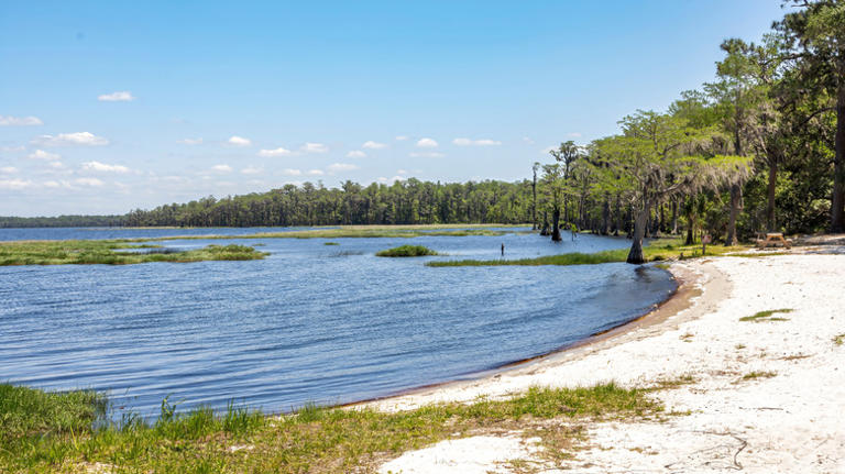 Florida's scenic state park near Orlando is a lakeside retreat with ...