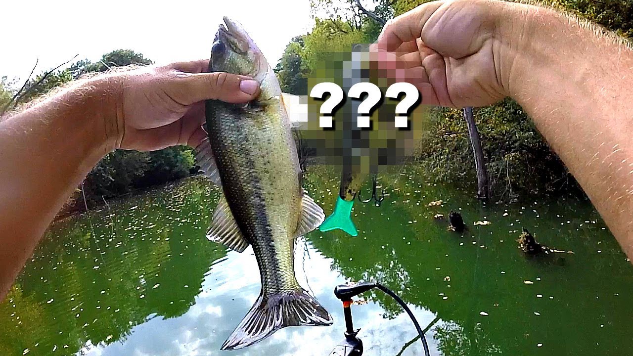 Favorite lure proves more effective than expected in spring bass