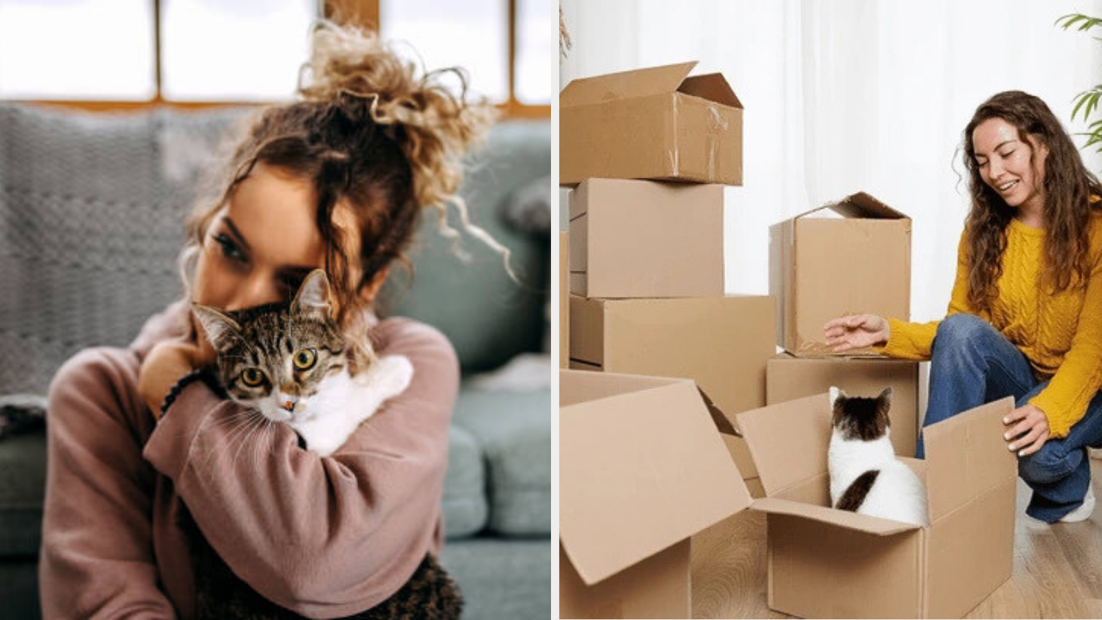Should she take the cat? When a childhood pet turns into a family argument