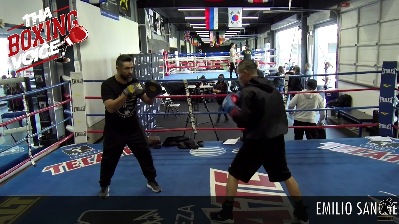 Solid pad-work from Emilio Sanchez (15-0, 10 KOs) as he looks ready for ...