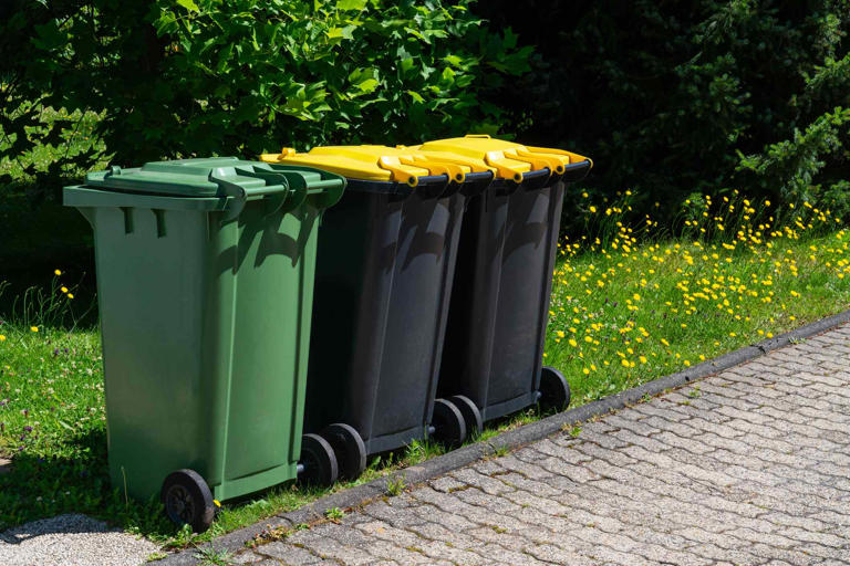 Is it a bad idea to throw your trash in a neighbor's bin? We asked pros