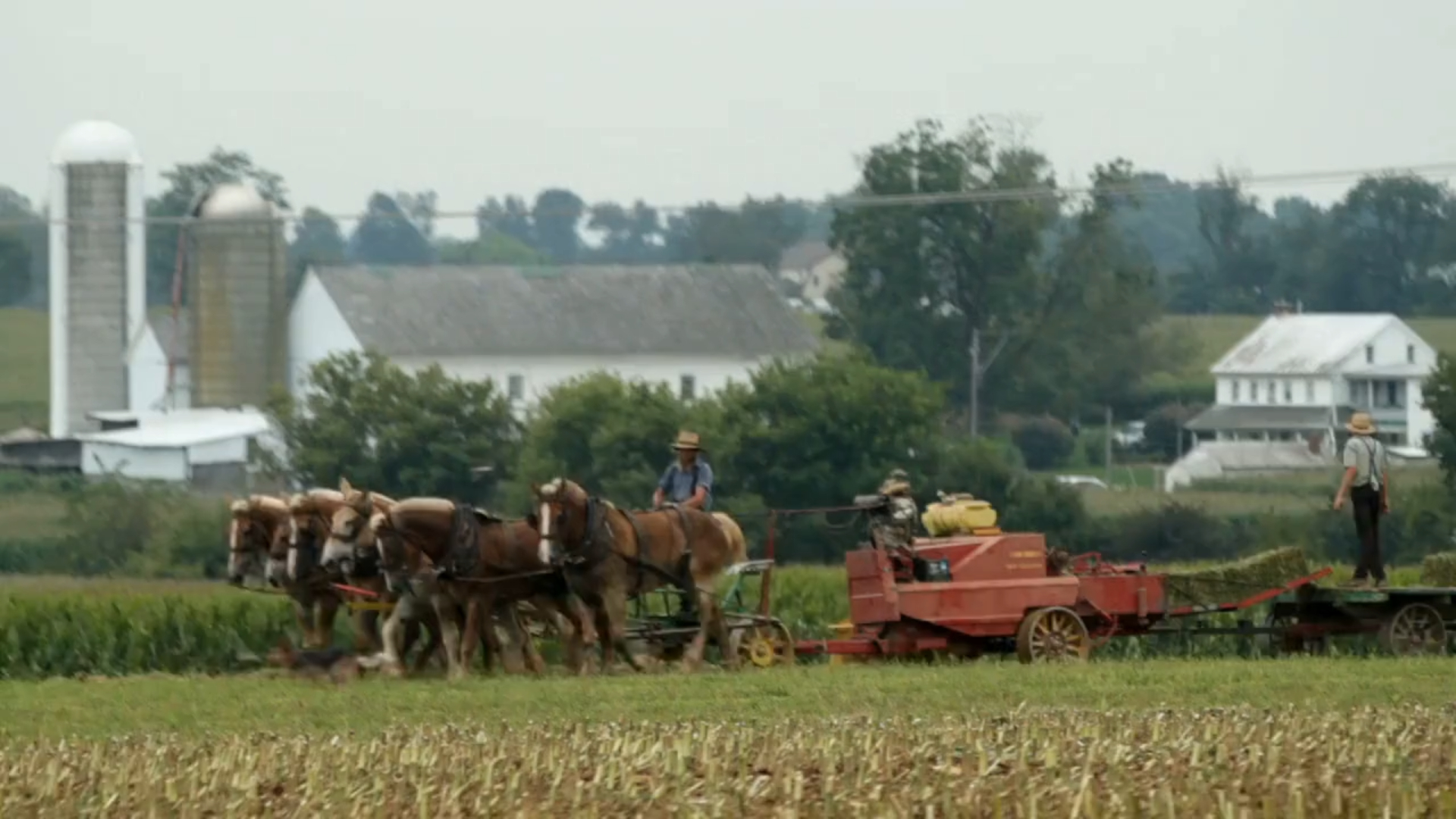 11 reasons the Amish choose to live apart from society