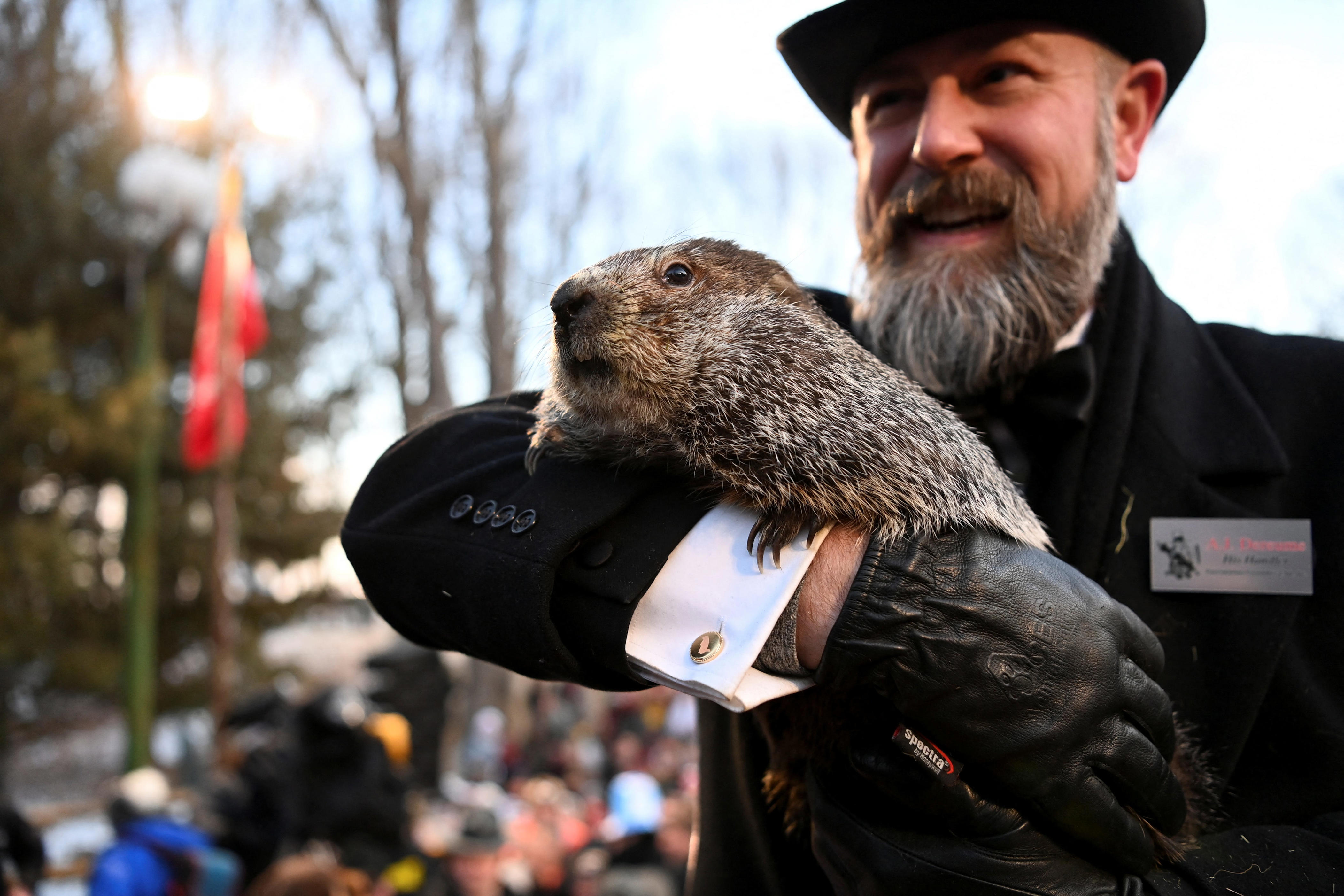 How and when to watch Punxsutawney Phil, Buckeye Chuck on Groundhog Day