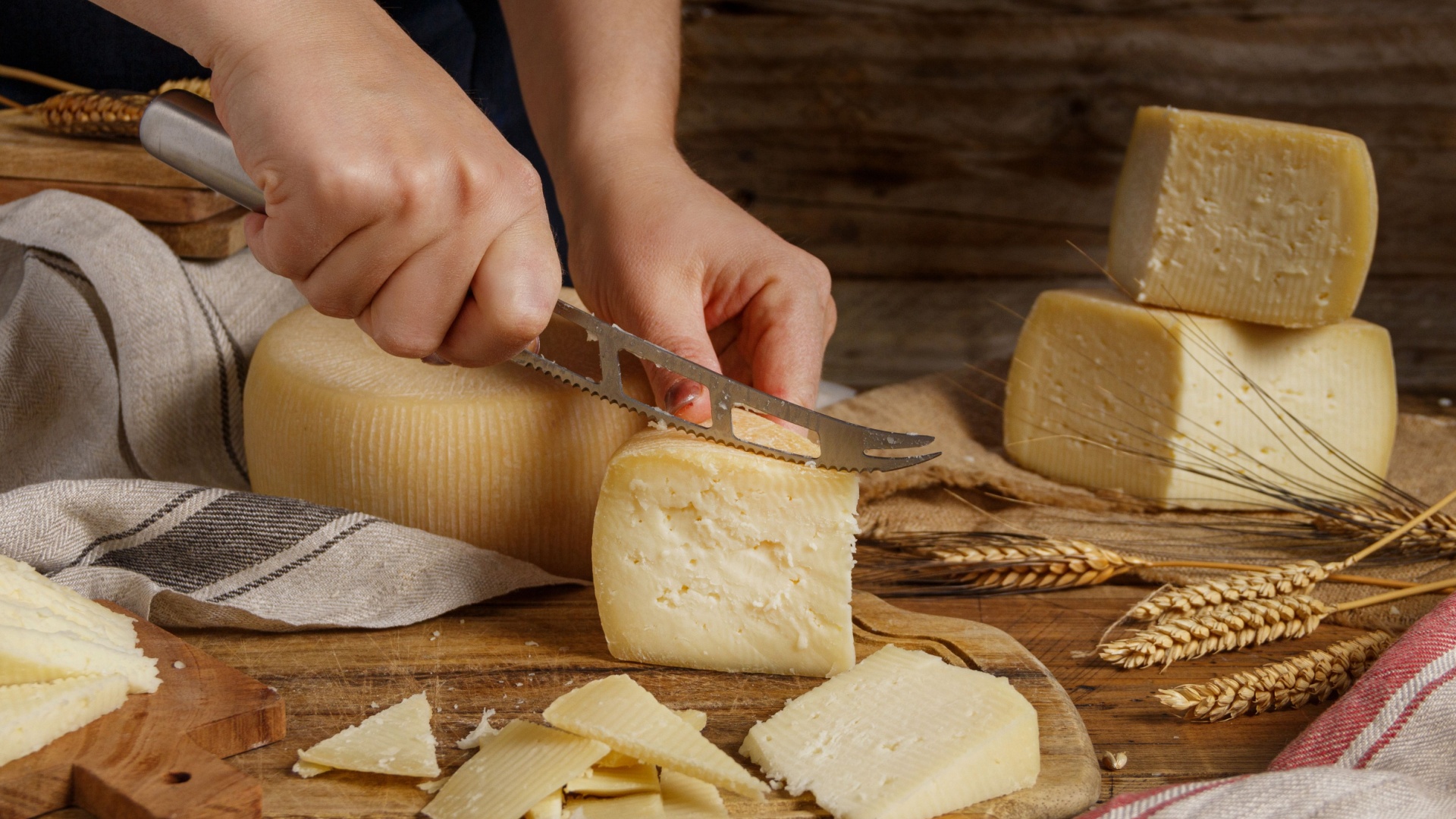 5 things that might happen if you eat cheese often and 10 must-try classics