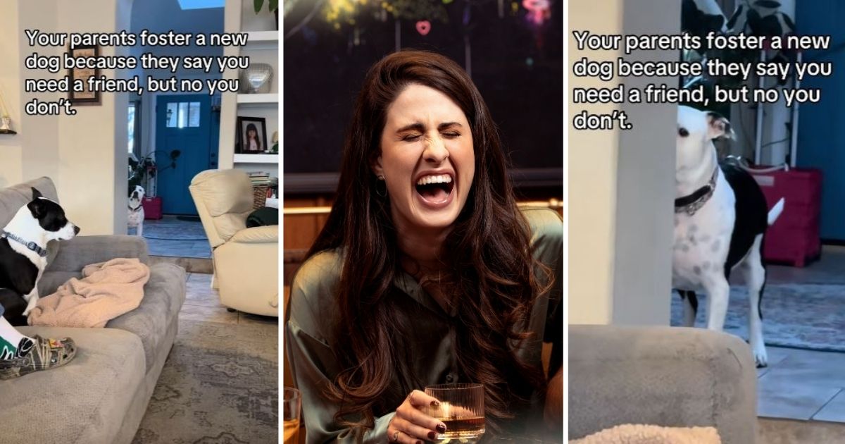 ‘I’m not going to call him brother.’ – Adopting a new dog can be fun ...