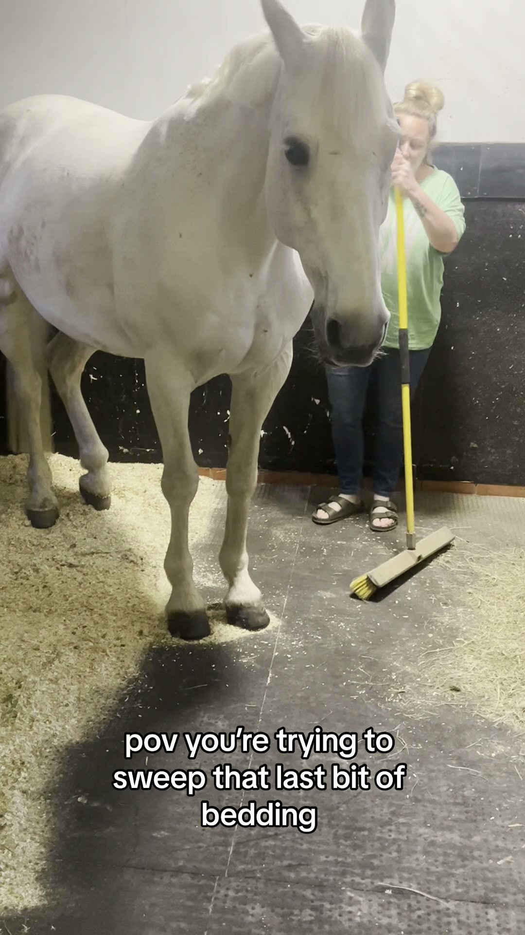 Mom is trying to sweep bedding but the horse refuses to move!