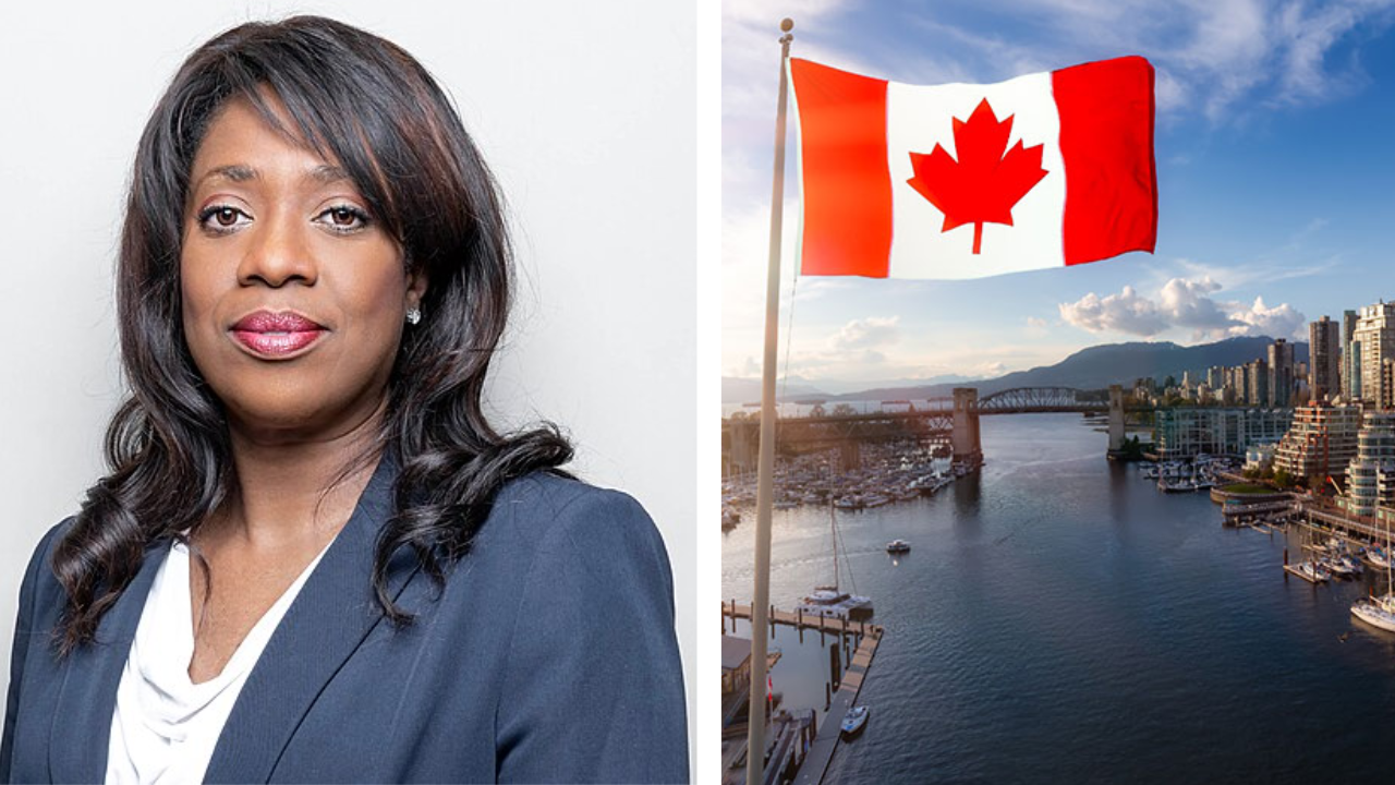 'Immigration should not…': Canadian lawyer says fertility rate is at ...