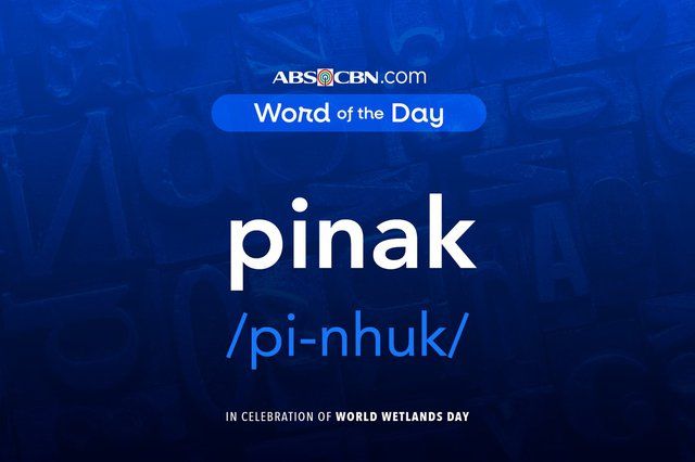 Word of the Day for February 2, 2026: pinak