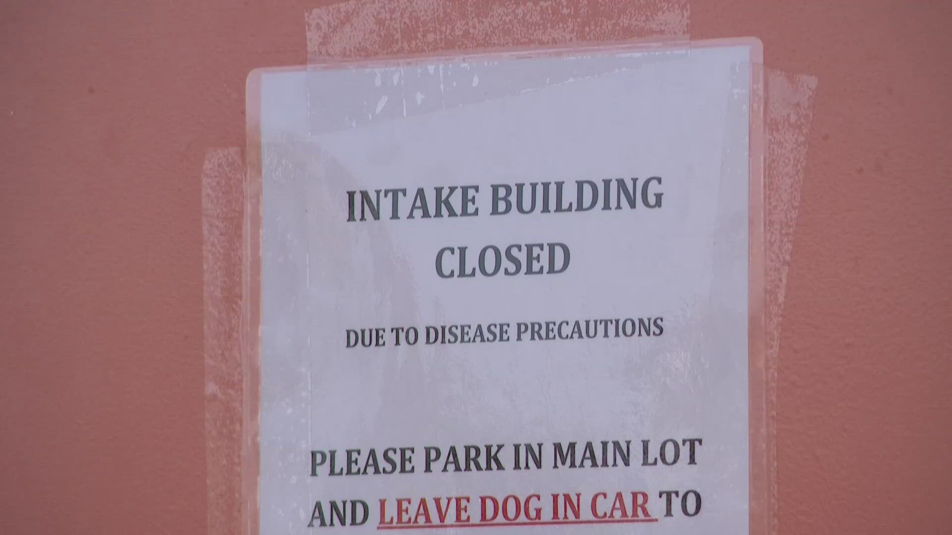 Contagious 'strep zoo' cases prompt intake pause at Front Street shelter