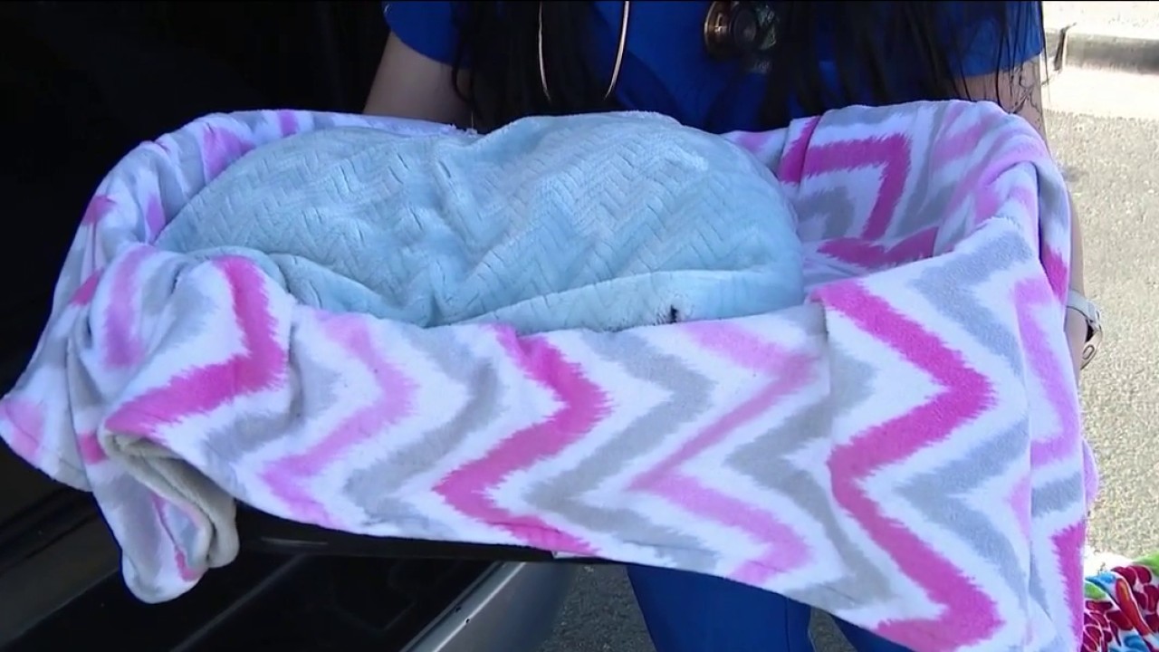 Compassionate in-home end of life care for pets