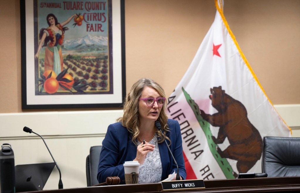 Opinion: Amid a dismal field of governor candidates, let’s draft Buffy ...