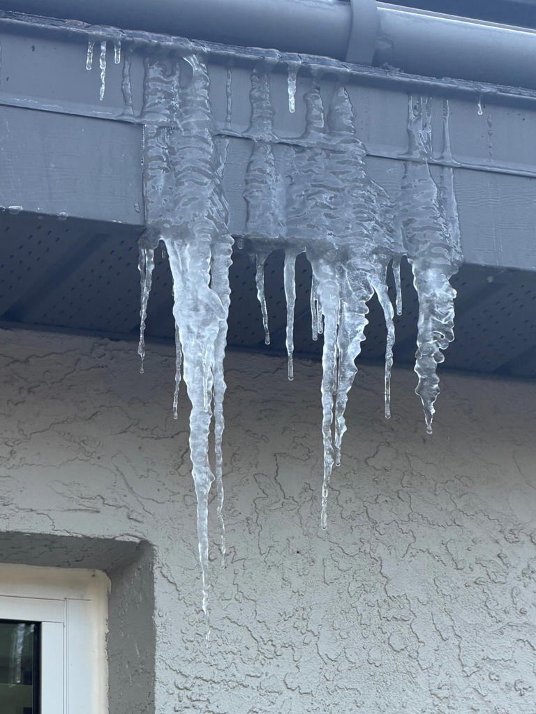 Photos: Icy displays appear all over Central Florida overnight
