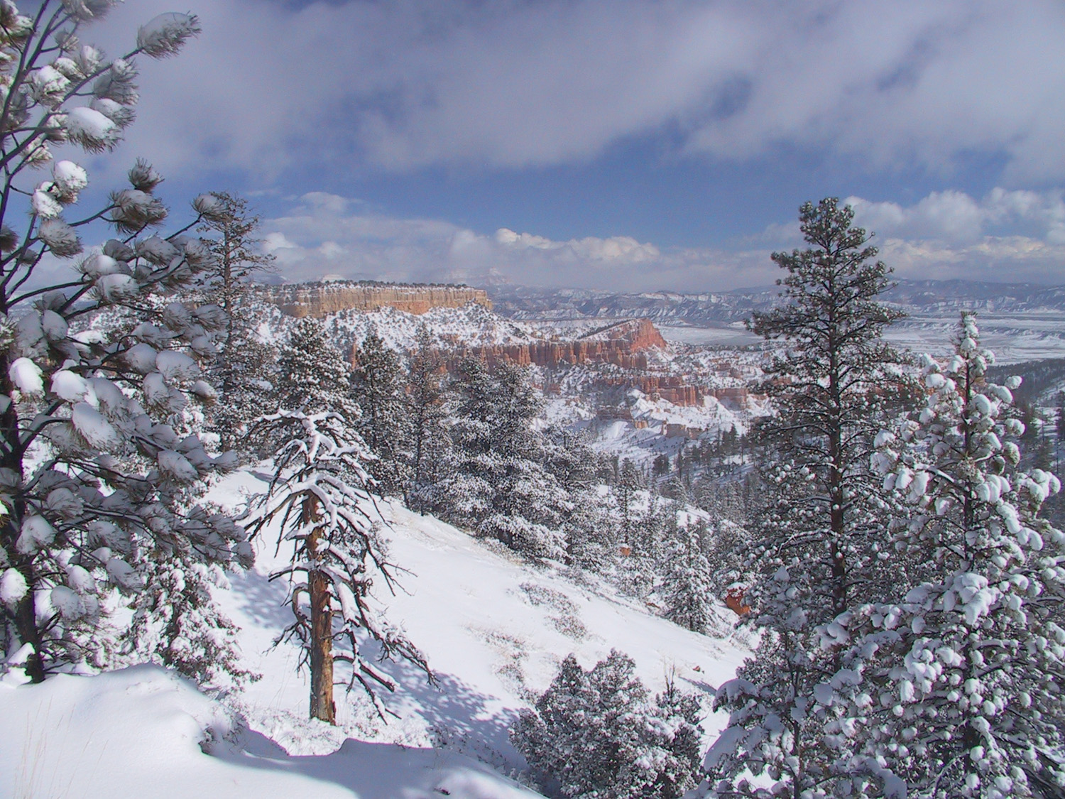 The 5 most overlooked dangers of hunting in the backcountry