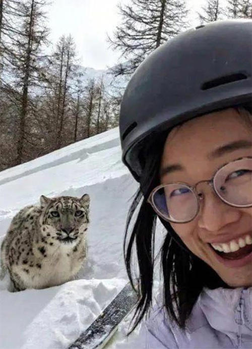 Ski selfie turns savage as tourist mauled by snow leopard