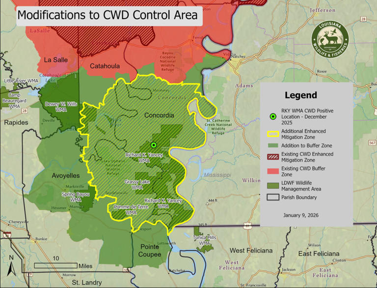 Louisiana leans on hunters to keep 'zombie deer' disease in check