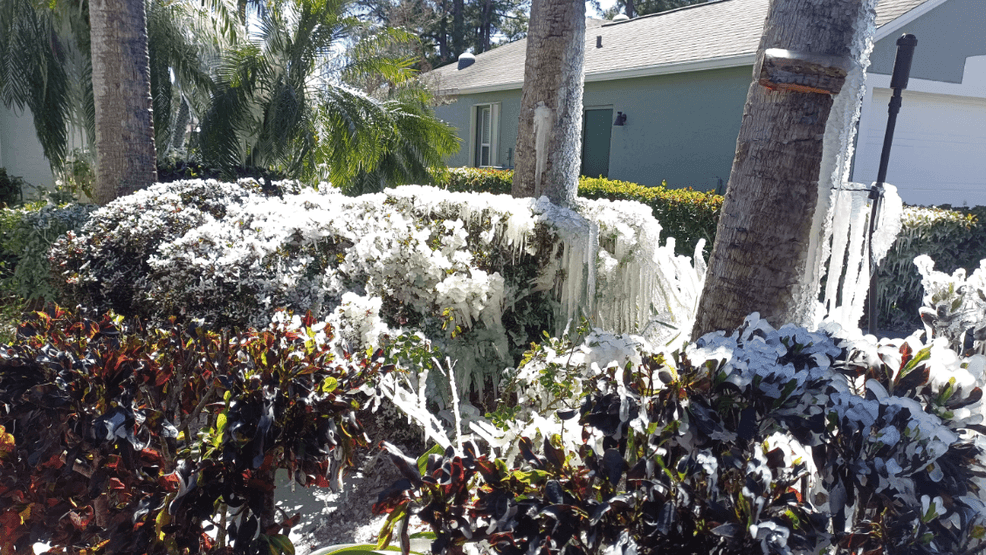 Wind chill temps state-wide dip below freezing as Arctic blast hits Florida
