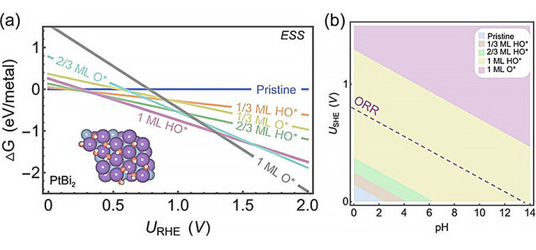 How topological surfaces boost clean energy catalysts
