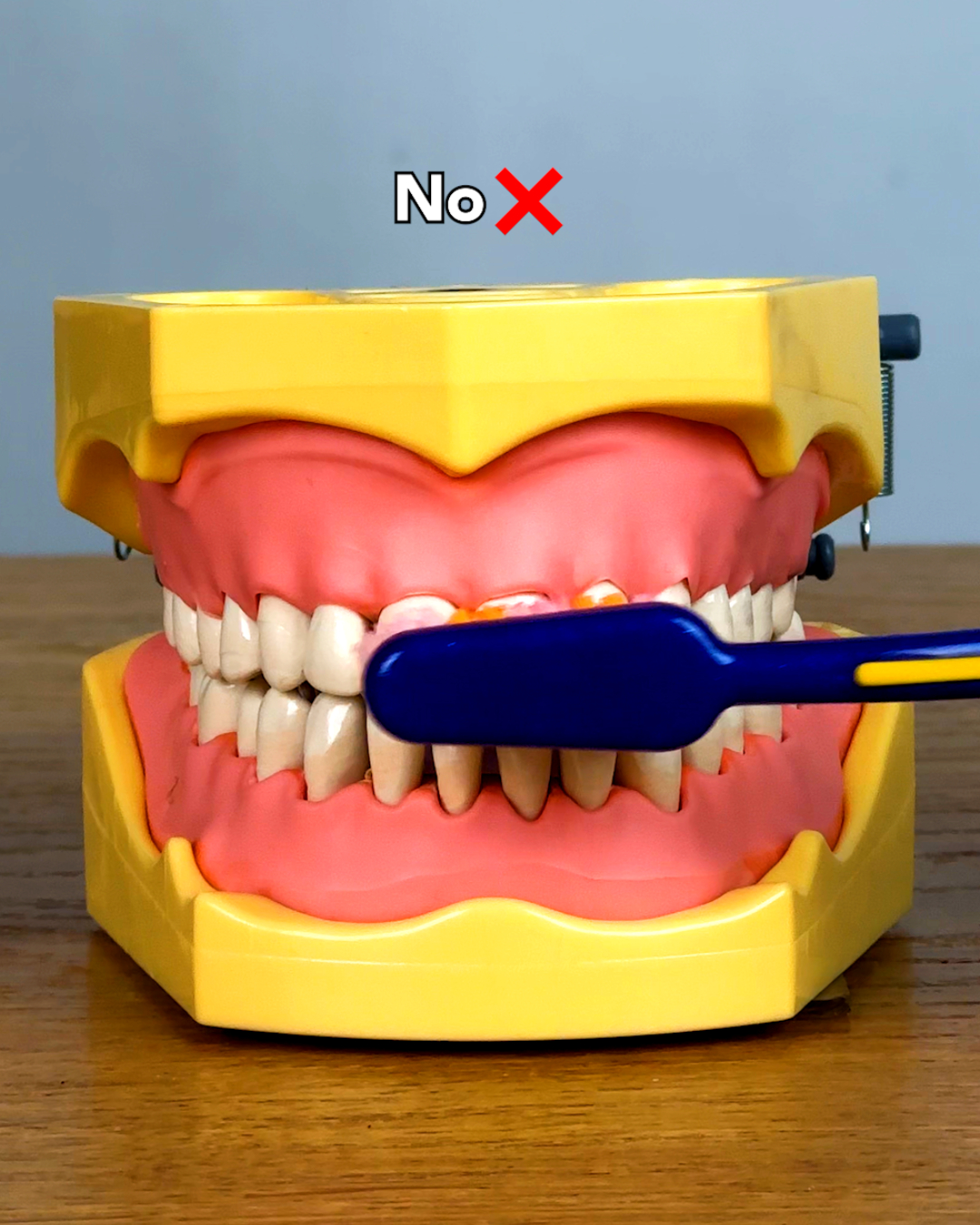 Dentist approved teeth brushing technique🦷🪥