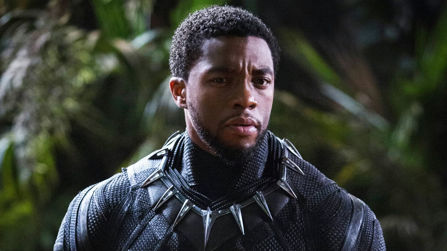 20 talented African American actors who reshaped Hollywood history