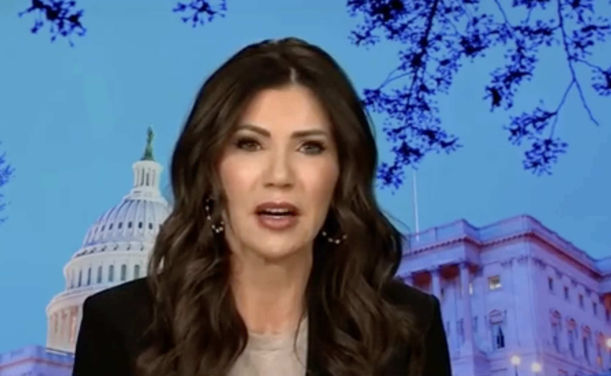 'This is exactly what he promised': Kristi Noem takes victory lap ...