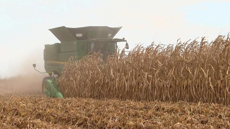 Iowa farmers face uncertainty as fertilizer prices surge amid Iran war ...