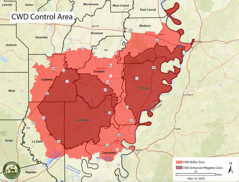 Louisiana leans on hunters to keep 'zombie deer' disease in check