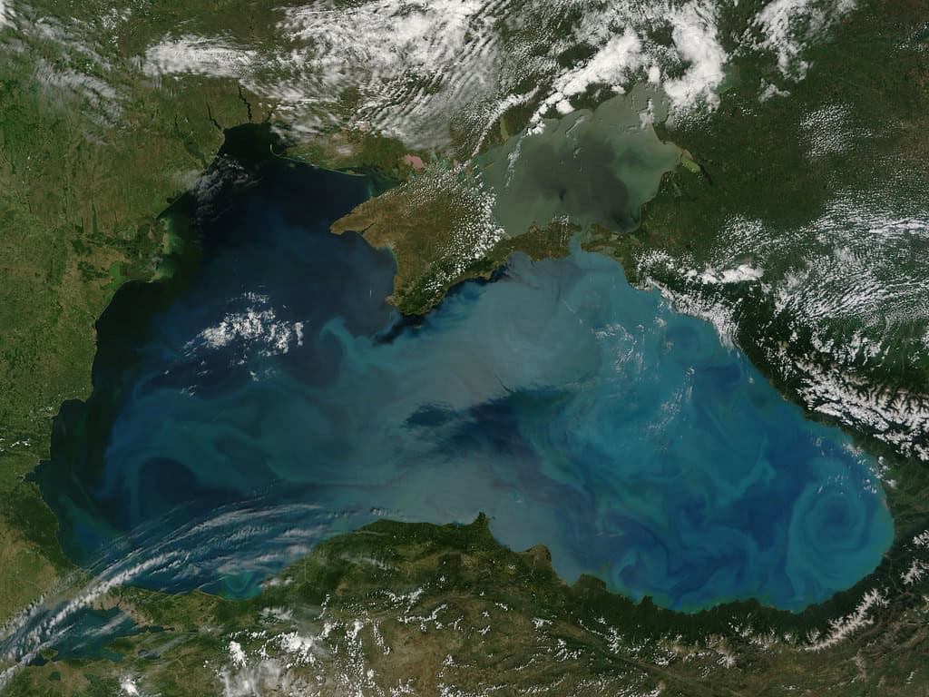 Discover 5 sharks found lurking in the Black Sea