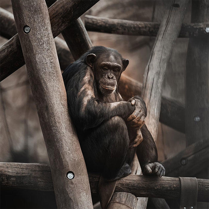 “Today I Learned”: 46 cool things people just discovered