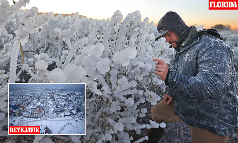 Florida to see colder temperatures than Iceland amid bomb cyclone