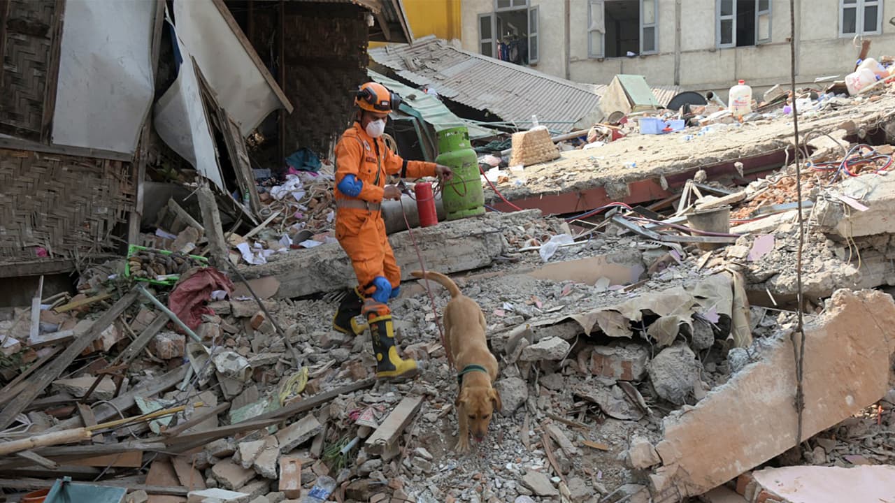 Magnitude 4.6 earthquake strikes Andaman and Nicobar Islands: NCS