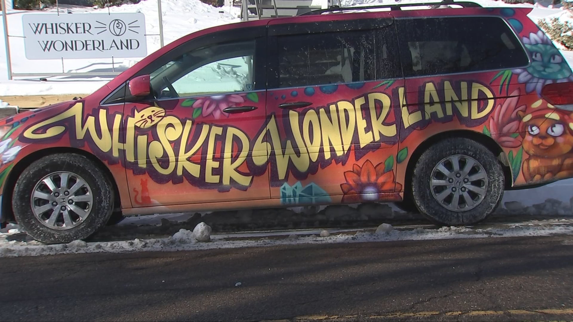 The Whisker Wagon: Local cat café unveils big surprise for saving more ...