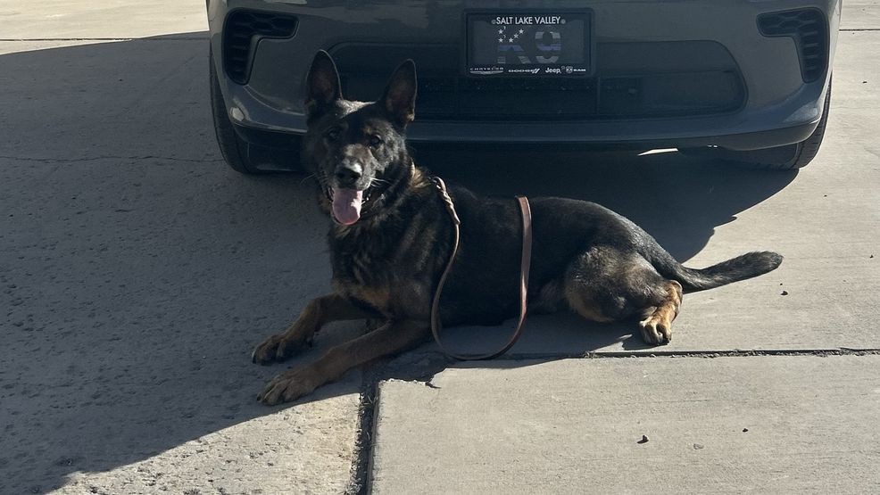 K-9 deputy helps seize 68.5 pounds of meth in Emery County