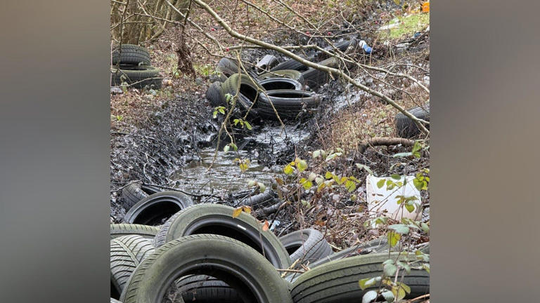Fears over 'waterfall of oil' dumped near river