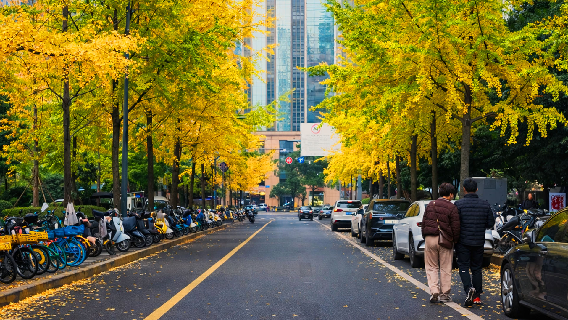 Yellow leaves line the road in China