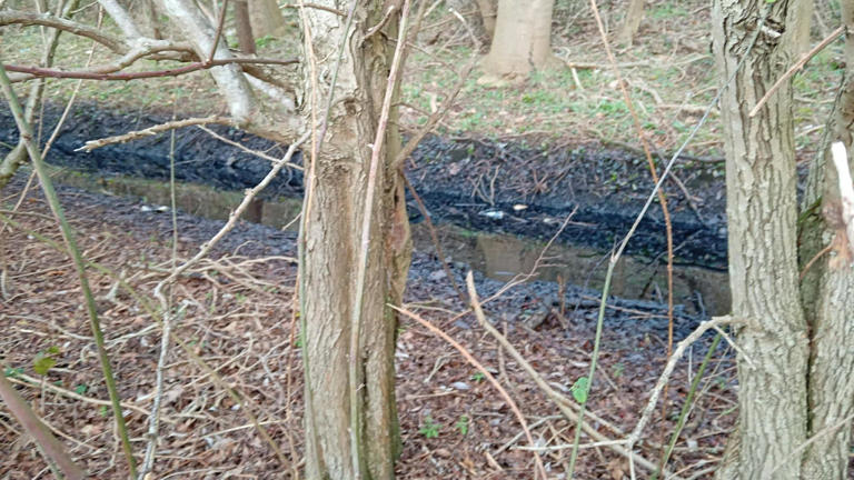 Fears over 'waterfall of oil' dumped near river
