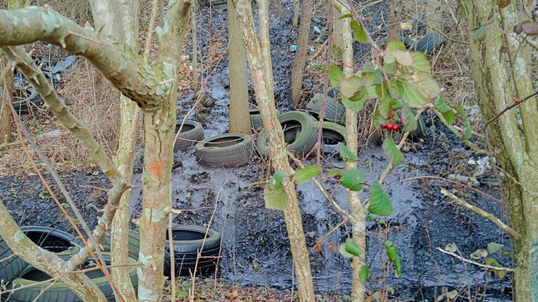 Fears over 'waterfall of oil' dumped near river