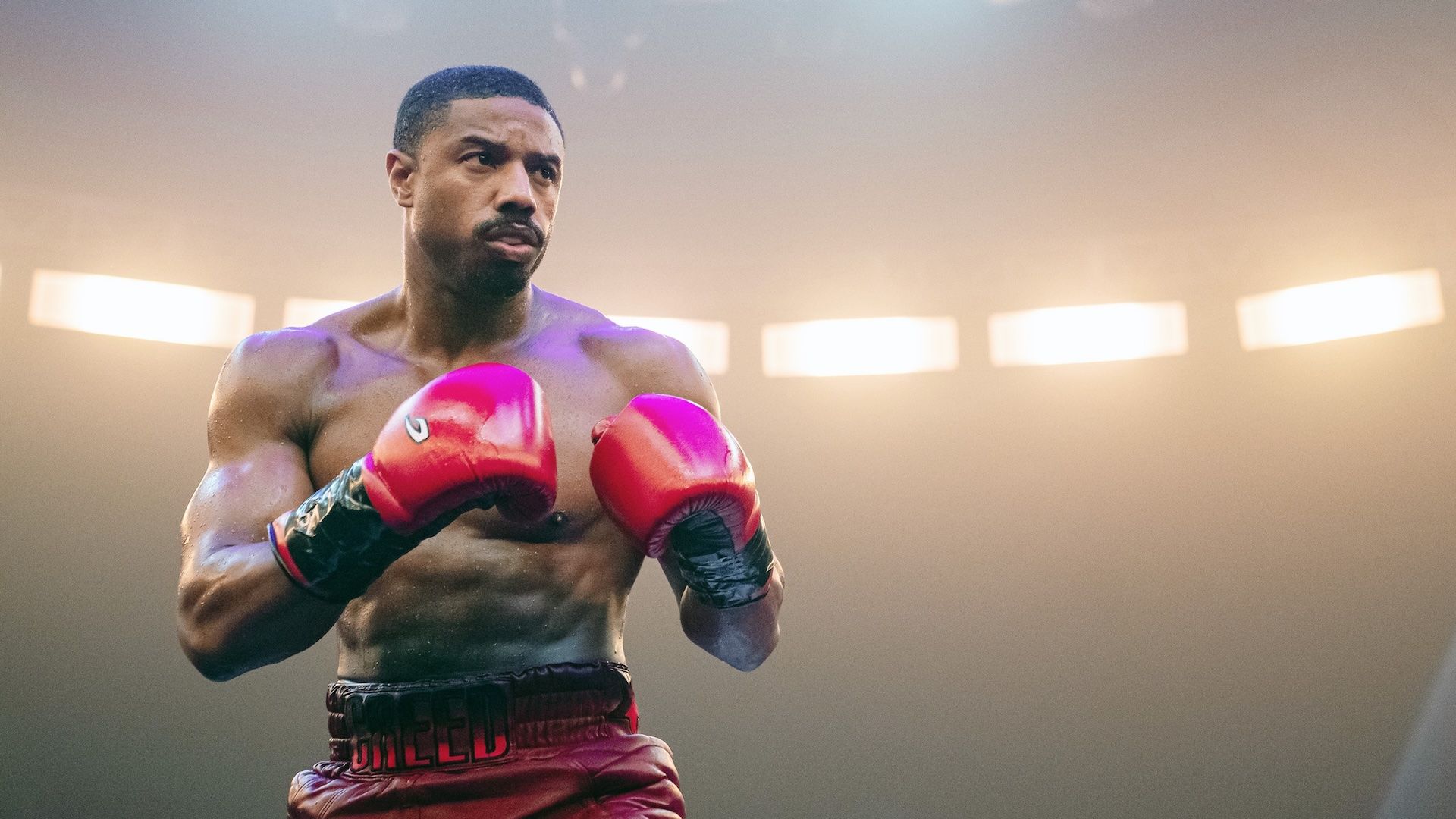 This Rocky spinoff's fate has finally been revealed, and confirms which ...