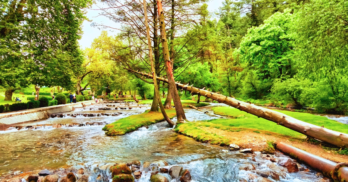 Which valley is known as the golden crown of Kashmir?