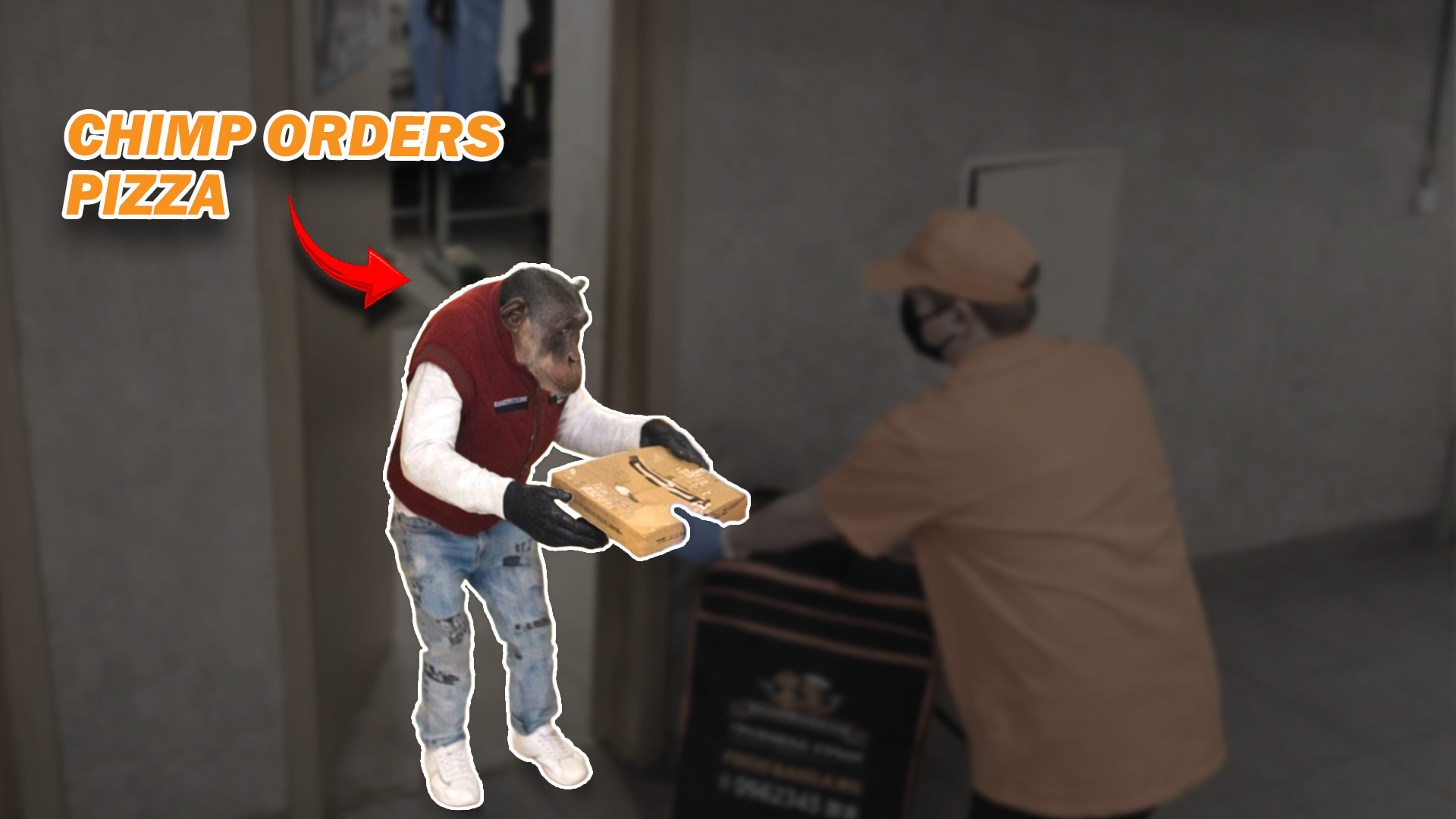 A funny moment when a chimpanzee orders pizza